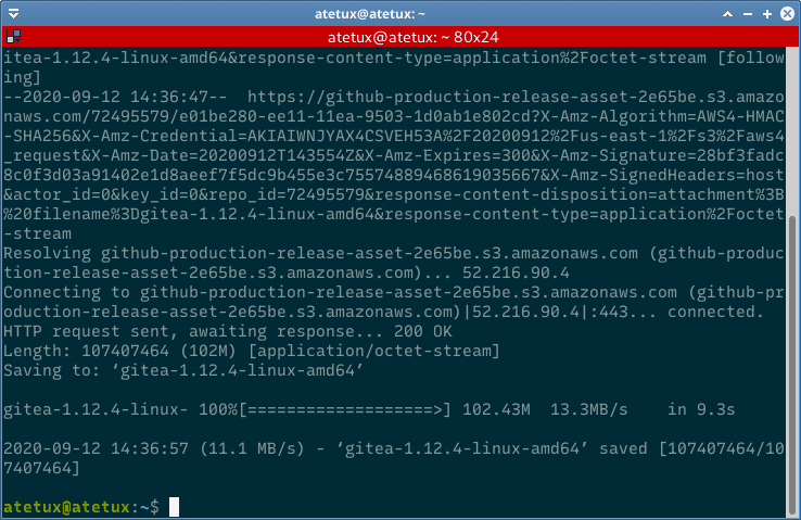 How To Install Gitea Git Server On Debian 10 Atetux 