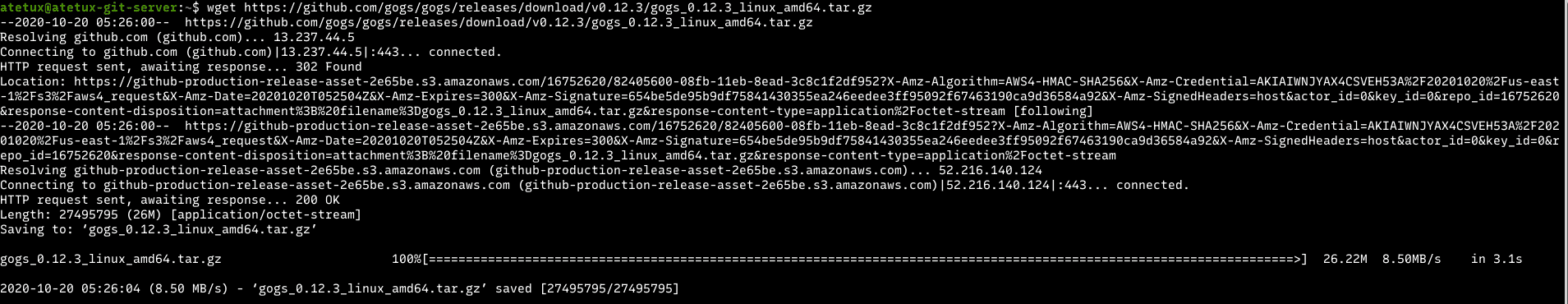 How To Install Gogs Git Server On Ubuntu 2004 Atetux 7683